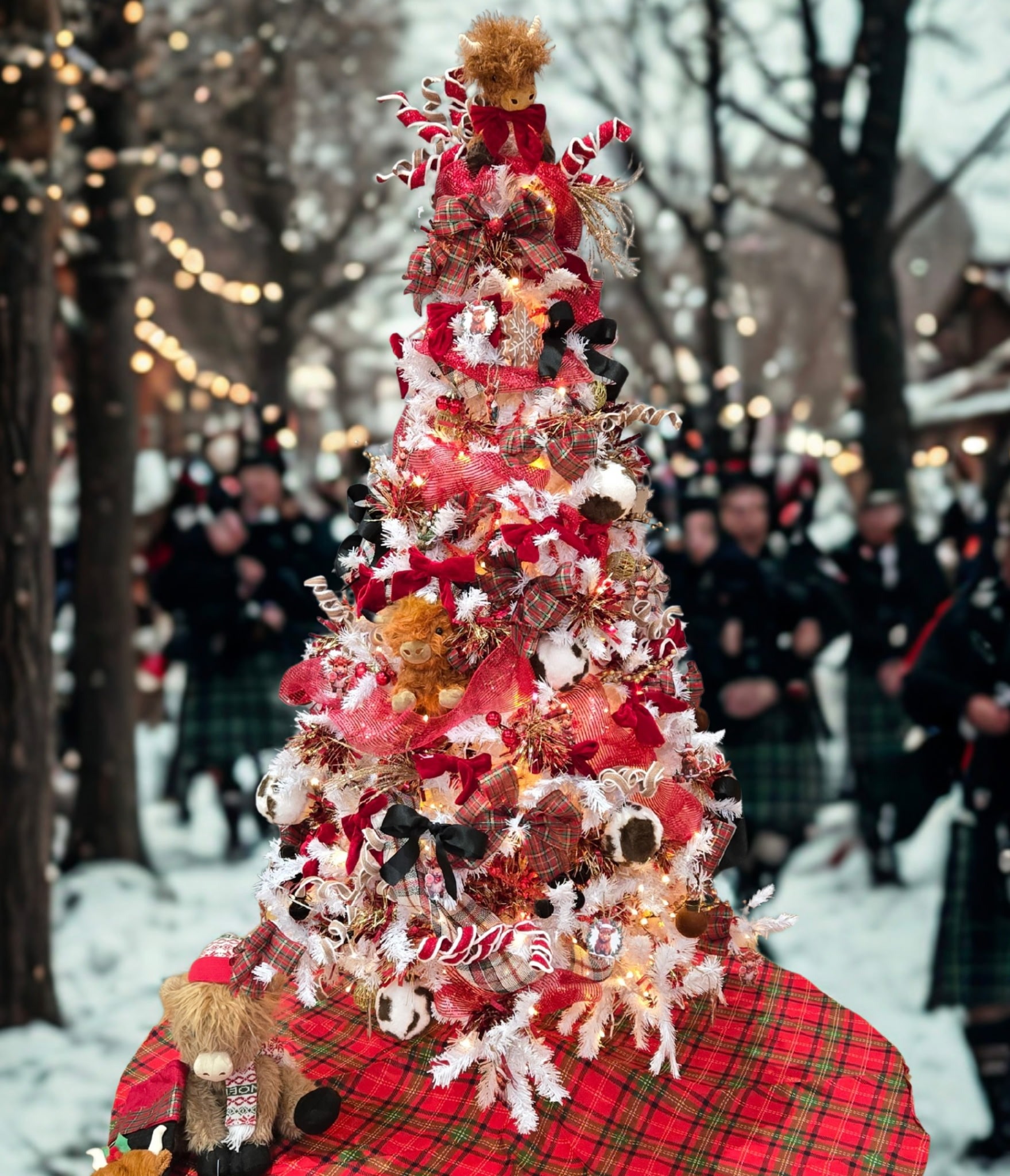 American Outlaws - Leader Spotlight + Colorado Springs: Festival of Trees